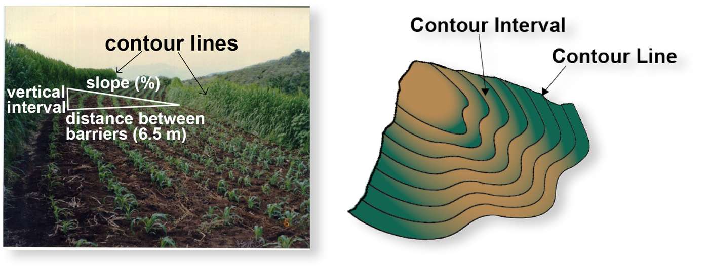 Contour Cultivation and Live Barriers for Small-Scale Farmers | ECHOcommunity.org